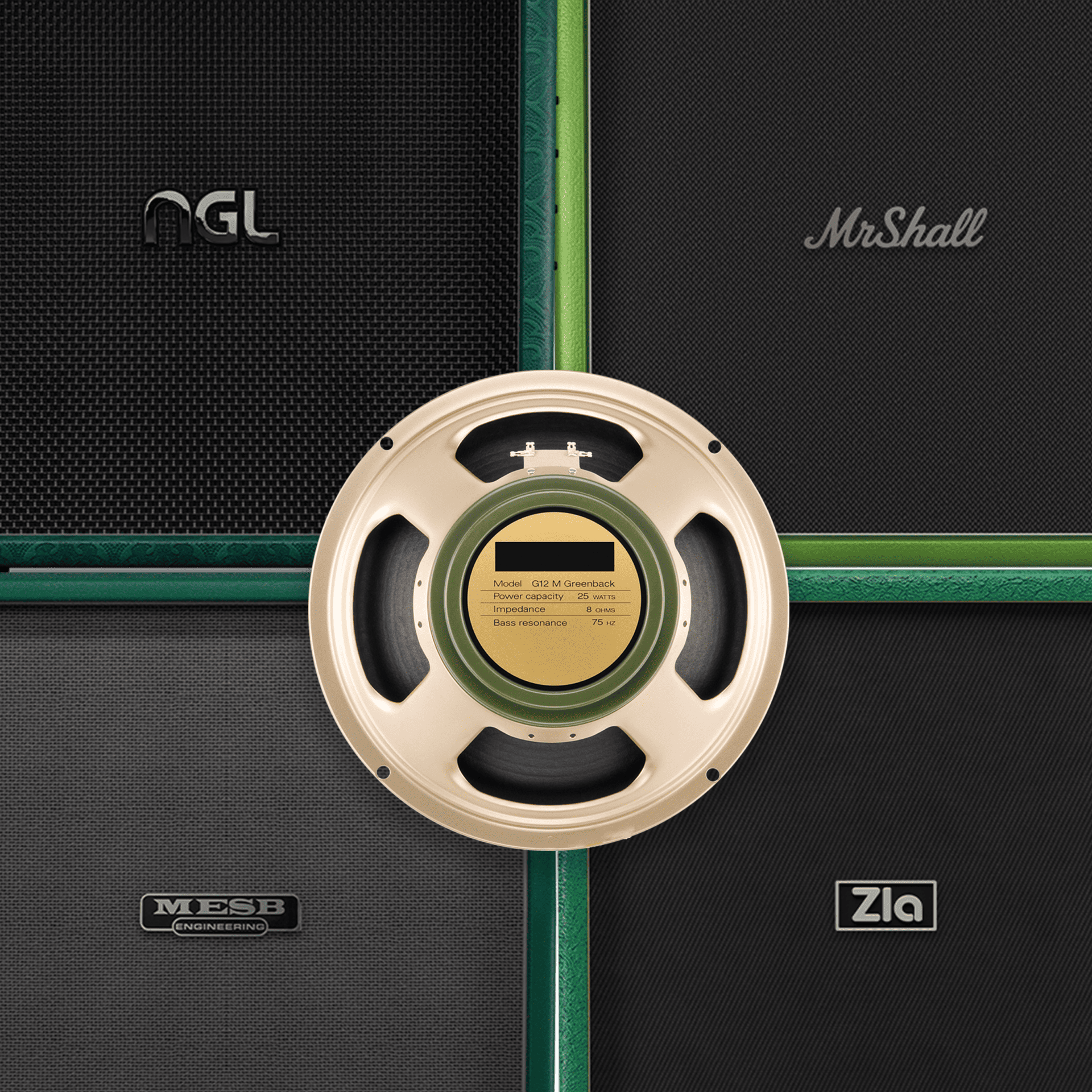 Audio Assault | OS BEASTS-GBM97