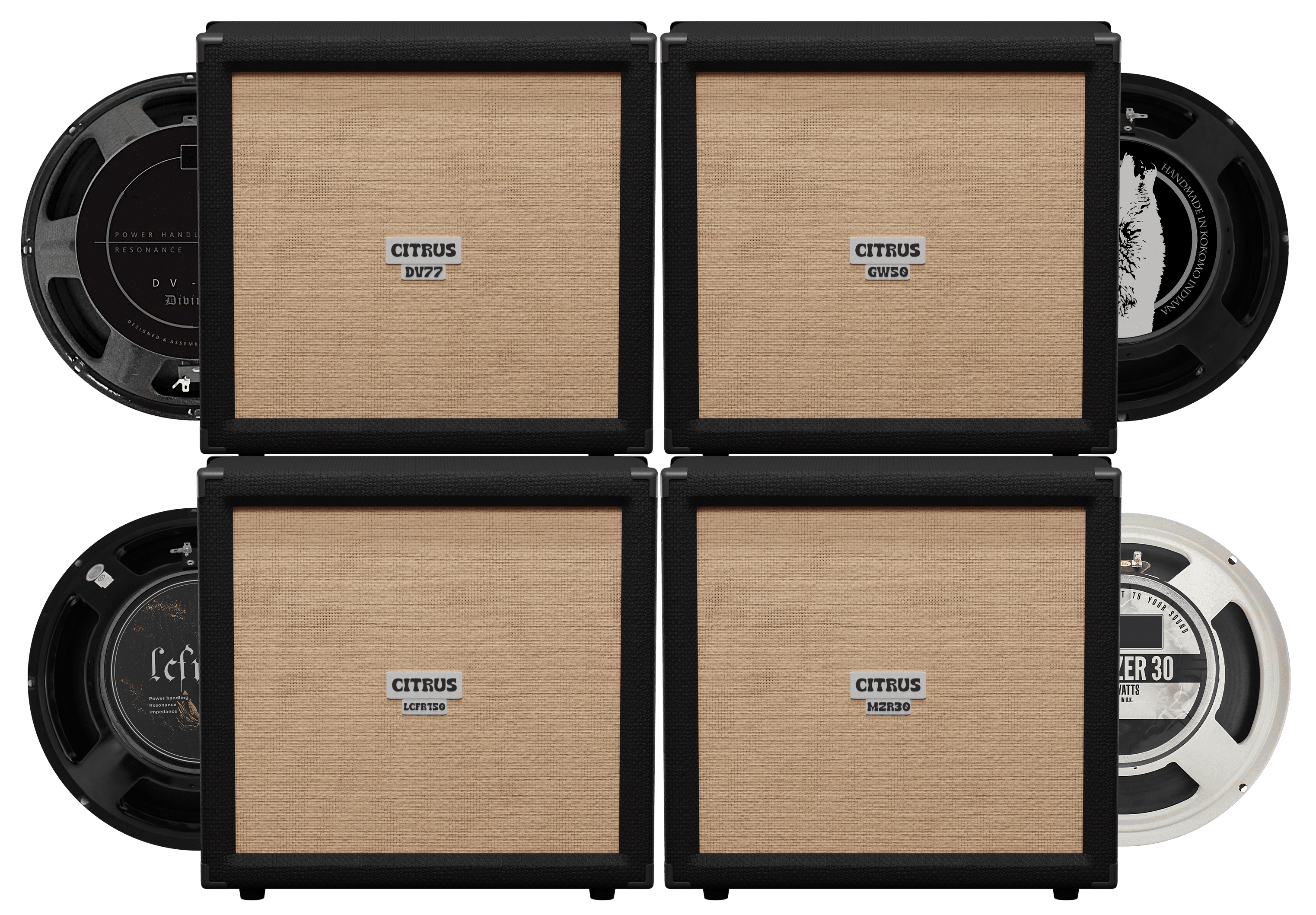 Audio Assault | Citrus ppc412 modern